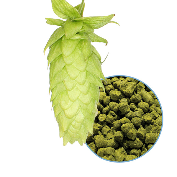 Lemondrop Hop Pellets | 11 lbs - Deutsche Beverage Parts